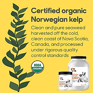 Organic Sea Kelp Powder for Dogs (7 Pounds, 3.2 KG), Iodine for Dog, Thyroid Support for Dog & Cat, Norwegian Kelp Dog Powder Supplement by Lots of Love