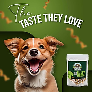 FURFUEL Spiral Bully Sticks - Premium Single-Ingredient Chew for Dogs - Made from Beef Pizzle - Bully Stick Springs for Dogs are Low Odor & Healthy (6 Pack)