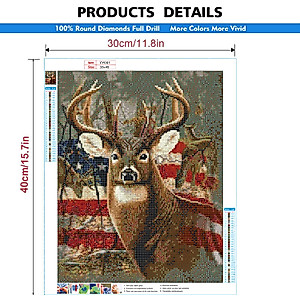 BLOOMMAY Diamond Painting Kits for Adults – 5D DIY Round Diamond Number Kits with Full Drill – Crystal Rhinestone Diamond Embroidery Paintings for Home, Office, Wall Decor 16×12 Inch