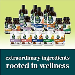 EverRoot by Purina Skin and Coat Dog Supplements Soft Chews - 10.6 oz. Canister