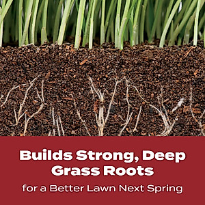 Scotts Turf Builder WinterGuard Fall Lawn Fertilizer for All Grass Types, 4,000 sq. ft., 10 lbs.