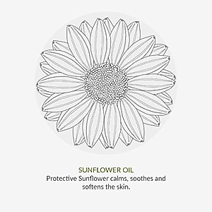 Green People Organic Babies Calming Nappy Cream 50ml | Natural & Organic Zinc Oxide Nappy Cream | Eczema-Friendly, Gentle on Sensitive Skin & Suitable from Birth | Paraben Free | Vegan, Cruelty Free