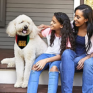 Juneteenth Dog Bandana Triangle Bibs Dog Scarf Adjustable Accessories for Small Medium Dogs Cats Pets