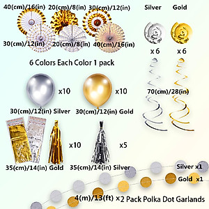 Party Decorations - Hanging Paper Fans, Balloons, Tassel Garland, Circle Paper Garland, Hanging Swirl 54 PCS (Gold and Silver).