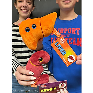 Giantmicrobes Kidney Plush, Kidney Stuffed Animal, Kidney Transplant Gifts, Kidney Donor Gifts, Kidney Pillow, Urology Gifts, Nephrology Gifts, Dialysis Nurse Gifts, Gifts For Urologist, Kidney Toy