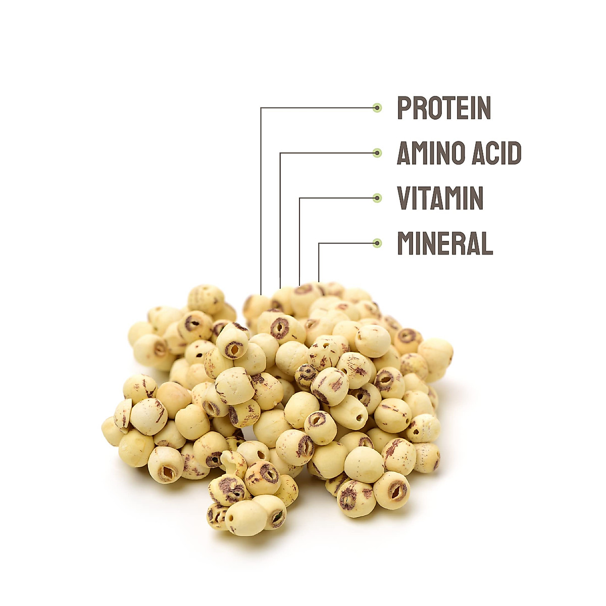 Farmer Queen Dried Lotus Seeds 8 Ounce for Tea & Baking Rich In Methionine Good for Gut health and Diet