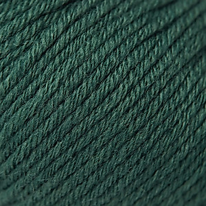 GISIMO 100% Merino Wool Yarn, 6-Ply Luxurious and Soft Yarn for Hand Knitting & Crocheting, 1.76 OZ/50g, 127 yds/116 meters (green, 1 ball)