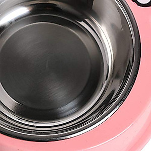 Double Dog Cat Bowls Premium Stainless Steel Pet Bowls with No-Slip Stainless Steel Cute Modeling Pet Food Water for Feeder Dogs Cats Rabbit and Pets