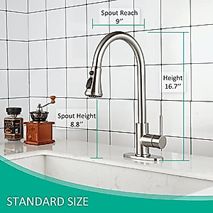 Kitchen Sink Faucet,Hans D'blanc Single Handle Single Hole Brushed Nickel Kitchen Faucet with Pull Down Sprayer 3 Modes for Kitchen RV Bar Sink,Included Deck Plate for Single or 3 Holes