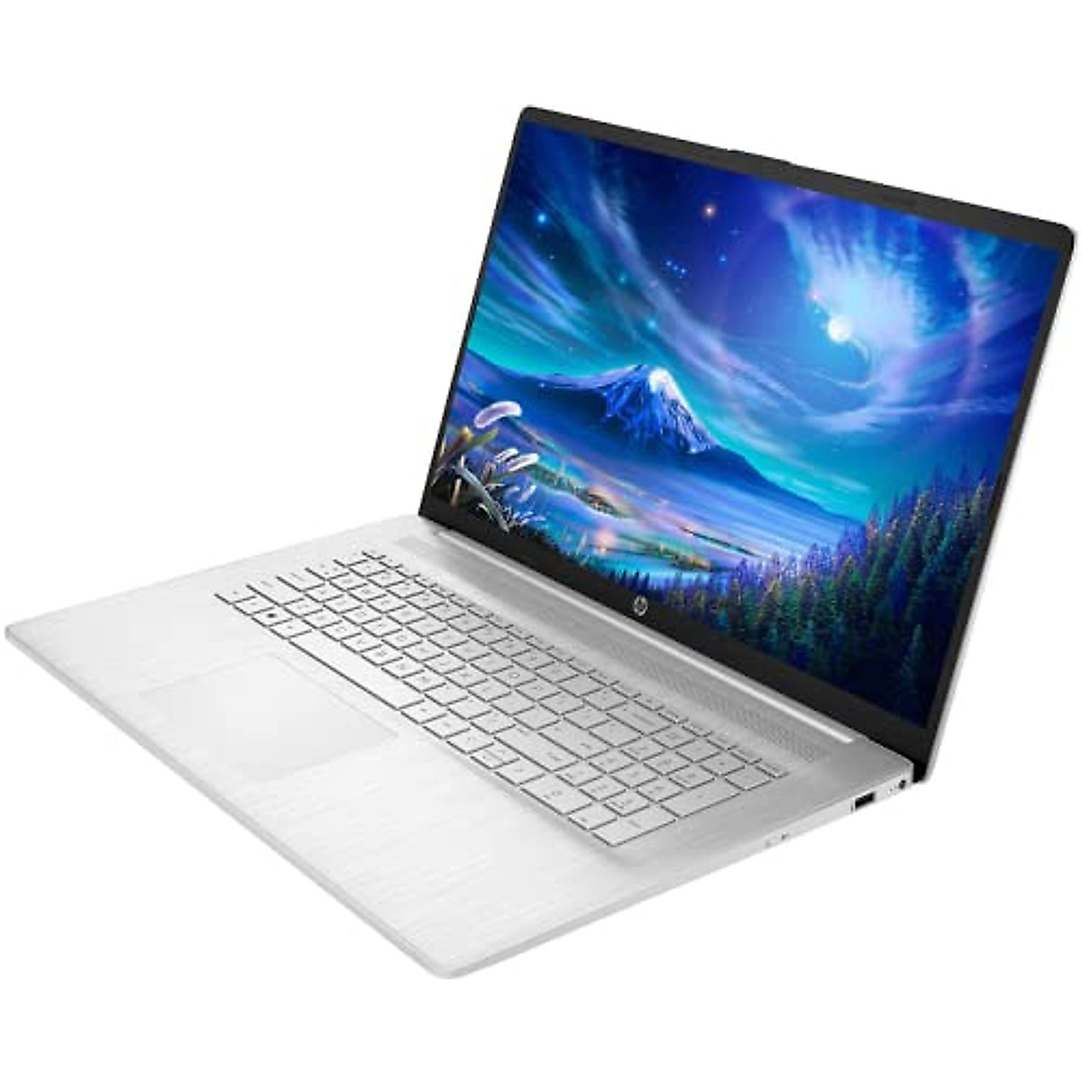 HP 17.3'' HD Touchscreen Business Lap, Intel Core i7-1165G7, Win 11 Pro, 64GB RAM 2TB SSD, HDMI, WiFi 6, Bluetooth, Webcam, Numeric Keypad, Backlit Keyboard, Long Battery Life, Tech Deal USB, Silver