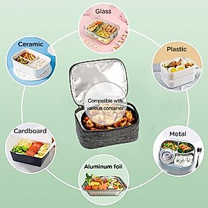 Taiping Lake Portable Oven Heated Lunch Box Personal Mini Oven Food Warmer Lunch Box for Car Office Home Kitchen Travel Outdoor Camping Picnic Family Gathering, 1 Heated Bag,Battery Not Include, Gray