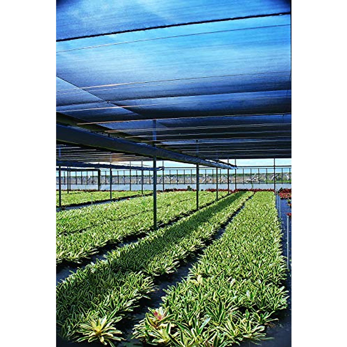 Dewitt K6 Knitted Shade Fabric Roll, Black, 100-Feet