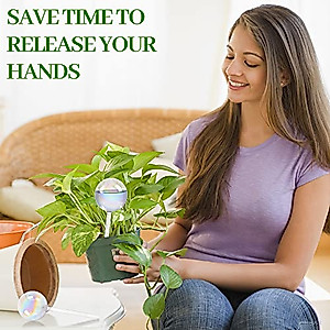 jiuhexuj Plant Watering Globes - 4 Pack Iridescent Rainbow Gradient Color Clear Glass Plant Watering Devices - Self Watering Planter Insert for Indoor and Outdoor Plants - Measures 9" L x 2.9" D