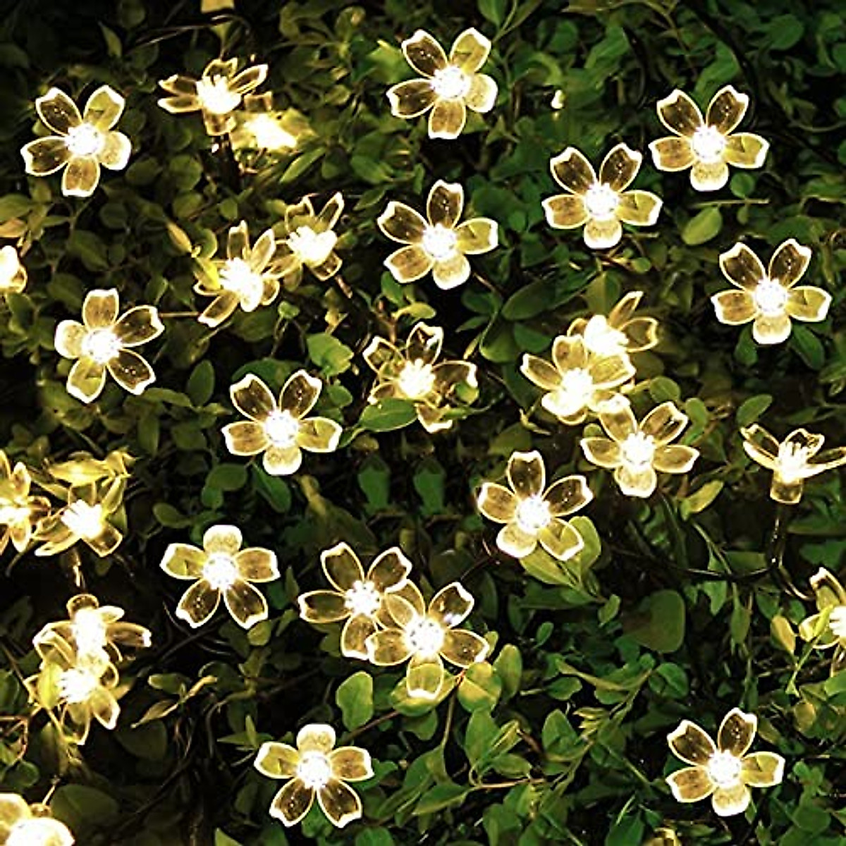 Solar Light String, Outdoor Waterproof Light String Garden Christmas Decoration Lights39feet 100 LED Solar Cherry Peach Flower String Light, Suitable for Home, Garden, Terrace, Wedding and Party(Warm