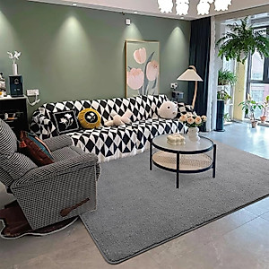 DweIke Modern Area Rugs for Bedroom Living Room, 4x6 ft Grey Thickened Memory-Foam Indoor Carpets, Minimalist Style Carpet Suitable for Boys Girls and Adults with Super Soft Touch, Washable, Grey