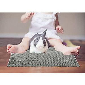 Vehomy 4Pcs Guinea Pig Blankets Hamster Flannel Blanket Bunny Blanket Cage Liners Small Pet Fleece Sleep Blankets Bedding Mats Bathe Towels for Hamster Guinea Pig Rabbit Kitten Chinchilla Hedgehog