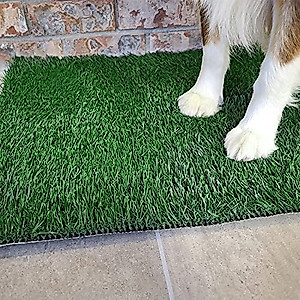 Dog Grass Pet Loo Indoor/Outdoor Portable Potty, Artificial Grass Patch Bathroom Mat and Washable Pee Pad for Puppy Training, Full System with Trays (Pet Training Tray, 20"x16")