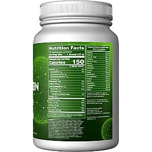 MRM - Veggie Protein Powder, Protein Source for Vegans, Gluten-Free & Preservative-Free, Non-GMO Verified - Chocolate - 2.5 lbs