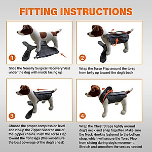 NeoAlly Upgraded Dog Surgical Recovery Suit Cone Alternative Onesie Post Surgery Wear Protects Abdominal Wounds and Skin Anti Licking, Aids Hot Spots, and Provides Anti Anxiety Relief - L
