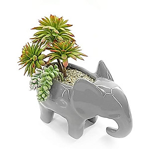 5 Pounds Natural Coarse Silica Sand - for use in Crafts, Decor, Gardening, Vase Filler, Aquariums, Terrariums and More