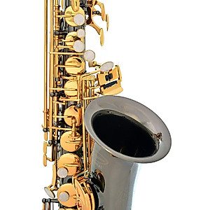 Professional Black Nickel Body Gold Keys E-flat Eb Alto Saxophone Sax with 11 Reeds, Case, Music Book, Mouthpiece and Many Extras, 360-BN