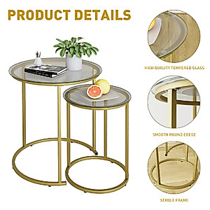 Azheruol Nesting Coffee Table Set of 2,Modern Gold Tempered Glass Side Table, Metal Frame Round End Table.Small Glass Tea Table for Living Room,Bedroom Studio Apartment Essentials，23.2in