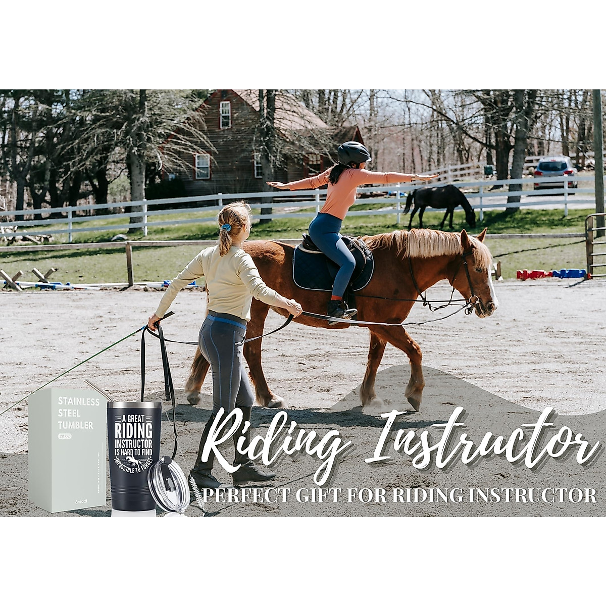 Onebttl Riding Instructor Gifts, Riding Instructor Thank You Gifts, 20oz/590ml Stainless Steel Insulated Tumbler with Lid - for Birthday, Christmas