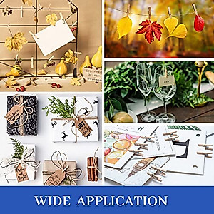 Mini Clothes Pins for Photo,Natural Birchwood, Strong Grip Tiny Clothespins,180 Pack 1 Inch Durable Wooden Small Clothes Pins,Mini Clothes Pins for Crafts, Photos,Little Baby Shower