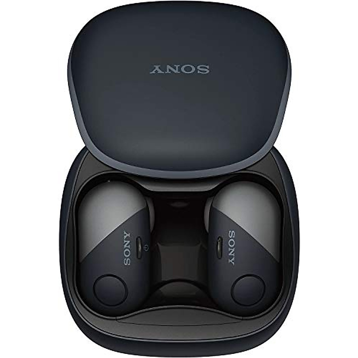 Sony True Wireless Earbuds, Bluetooth Earbuds Noise Cancelling, Sports Workout Ear Buds with Microphone, Sweatproof Sport Earphones, Extra BASS WF-SP700N/B (Black)