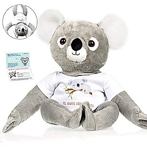 infloatables Stuffed Koala Bear - The Original Large Koala Plush Toy with 'I'll Always Hang with You' Removable T-Shirt - 11 Inch Giant Stuffed Animal Koala - Cuddly Birthday Gift