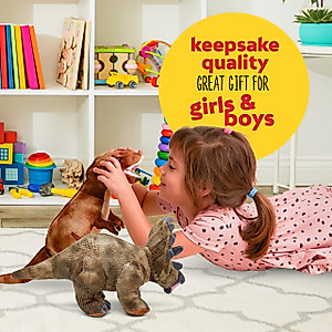 Dragon Drew Dinosaur T-Rex and Triceratops Plush Stuffed Animals | 2 Pack