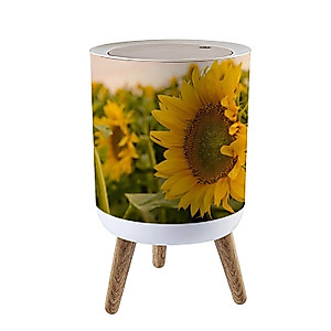 LGCZNWDFHTZ Small Trash Can with Lid for Bathroom Kitchen Office Diaper Sunflower Field Bedroom Garbage Trash Bin Dog Proof Waste Basket Cute Decorative