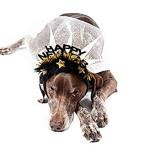 Midlee Happy New Year Dog Headband