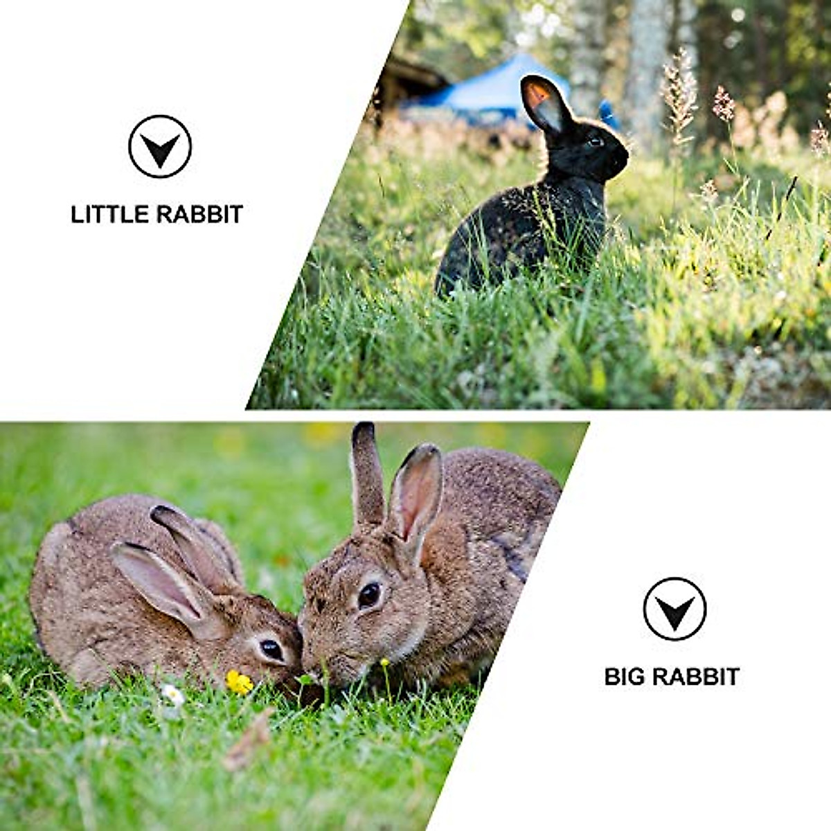 Cat Harness, Rabbit Harness with Leash Soft Mesh Vest Harness Clothes for Rabbit Ferret Bunny Kitten Guinea Pig Walking (S, Black)