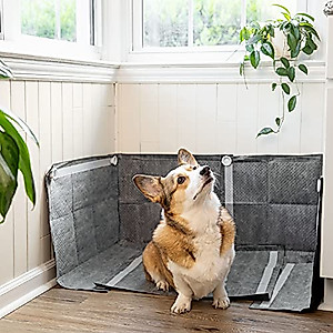 MYMOON HOME Pee PAD Holder (Pack of 2) – Works with Any Type of Wee Wee Pads for Easy cleanup of Marking and Leg Lifting Dogs. (White)