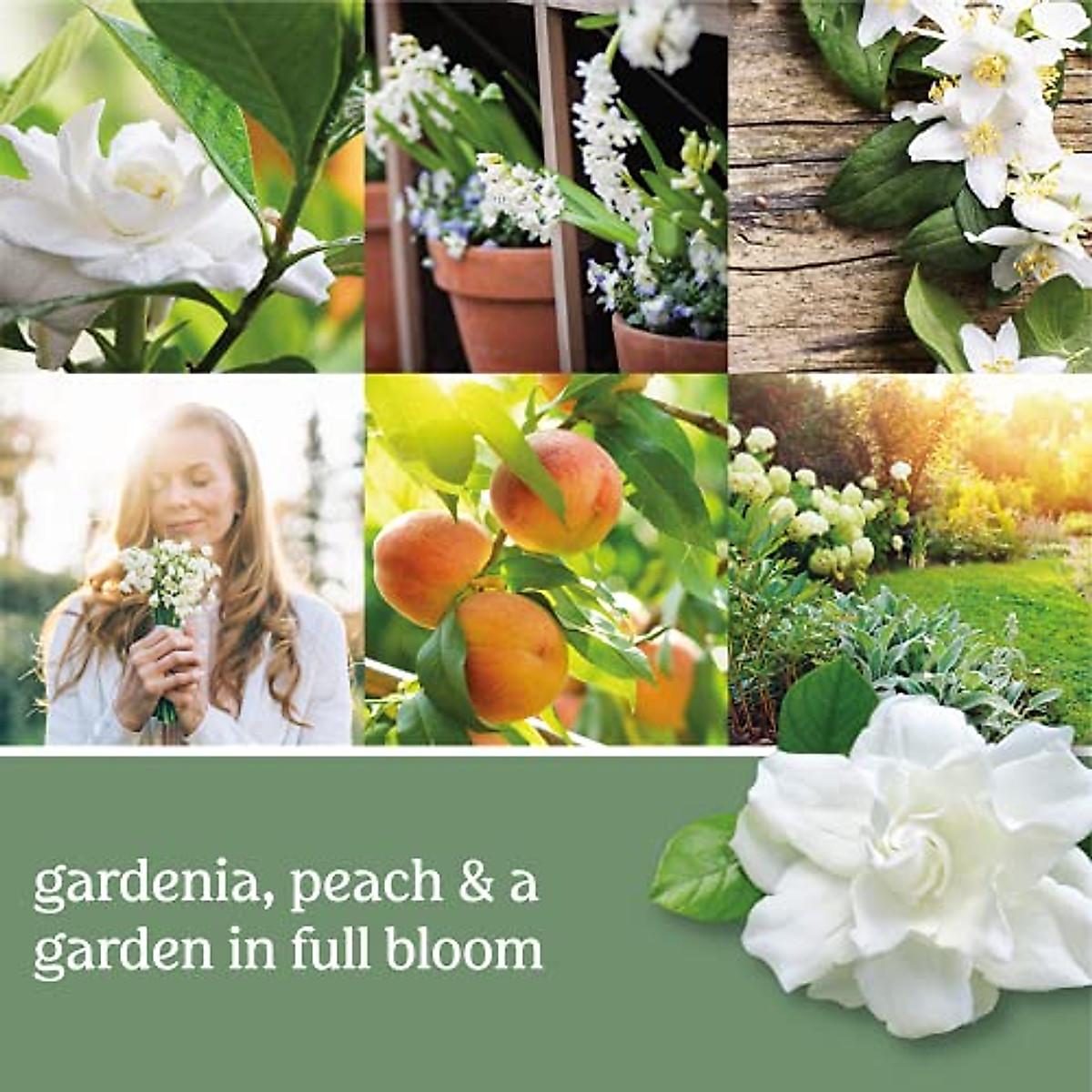 Yankee Candle White Gardenia Scented, Signature 4.3oz Small Tumbler Single Wick Candle, Over 20 Hours of Burn Time