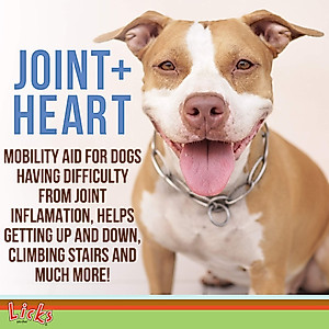Licks Pill-Free Dog Joint and Heart - Glucosamine & Omega 3 Fish Oil Supplement for Dogs - Inflammation Supplements for Joint Support - Gel Packets - 30 Use