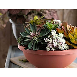 The HC Companies 22 Inch Large Garden Bowl Planter - Shallow Plant Pot with Drainage Plug for Indoor Outdoor Flowers, Herbs, Clay