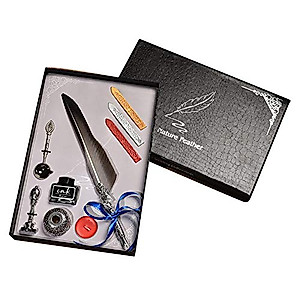Omabeta Calligraphy Feather Quill Dip Pen Set Quill Dip Pen Feather Fountain Pen for Someone Special(Grey)