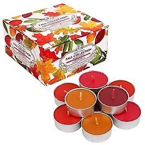 Fall Candles Scented Tea Lights Candles Gift Set - 64 pcs - Set of 16 Fall Scented Candles with 4 Autumn Fragrances - Pumpkin Spice with Nutmeg, Apple Cinnamon, Orange Clove and Autumn Leaves
