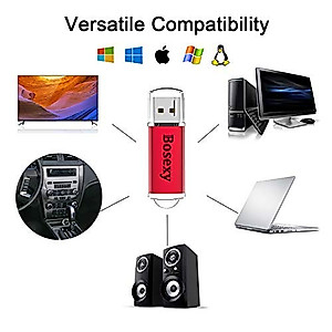 Bosexy USB Memory Sticks USB 2.0 Flash Drives Pen Drive 10 Pack (64MB, Red)