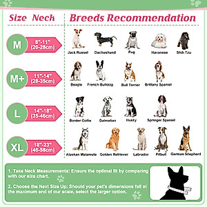 Didopet Inflatable Dog Cone, Watermelon Dog Donut Collar After Surgery, Dog Cone Alternative with Detachable Anti-Licking Shield, Soft Dog Cone for Large Medium Dogs Does Not Block View