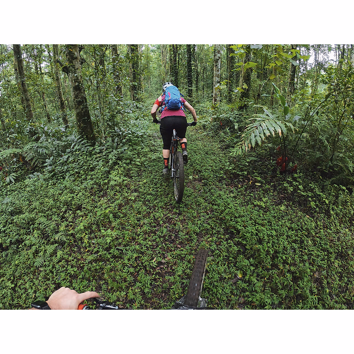 GoPro HERO8 Black Bundle - Includes HERO8 Black Camera, Shorty, Head Strap, 32GB SD Card, and 2 Rechargeable Batteries