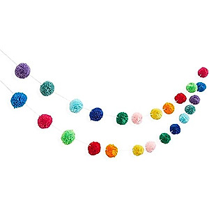 10 Feet Colorful Wool Pom Pom Garland for Rainbow Birthday Decorations (24 Balls)