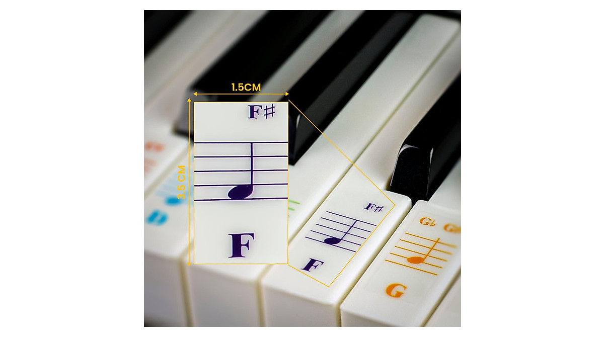 QMG Color Piano Stickers & Guide Book for Beginners