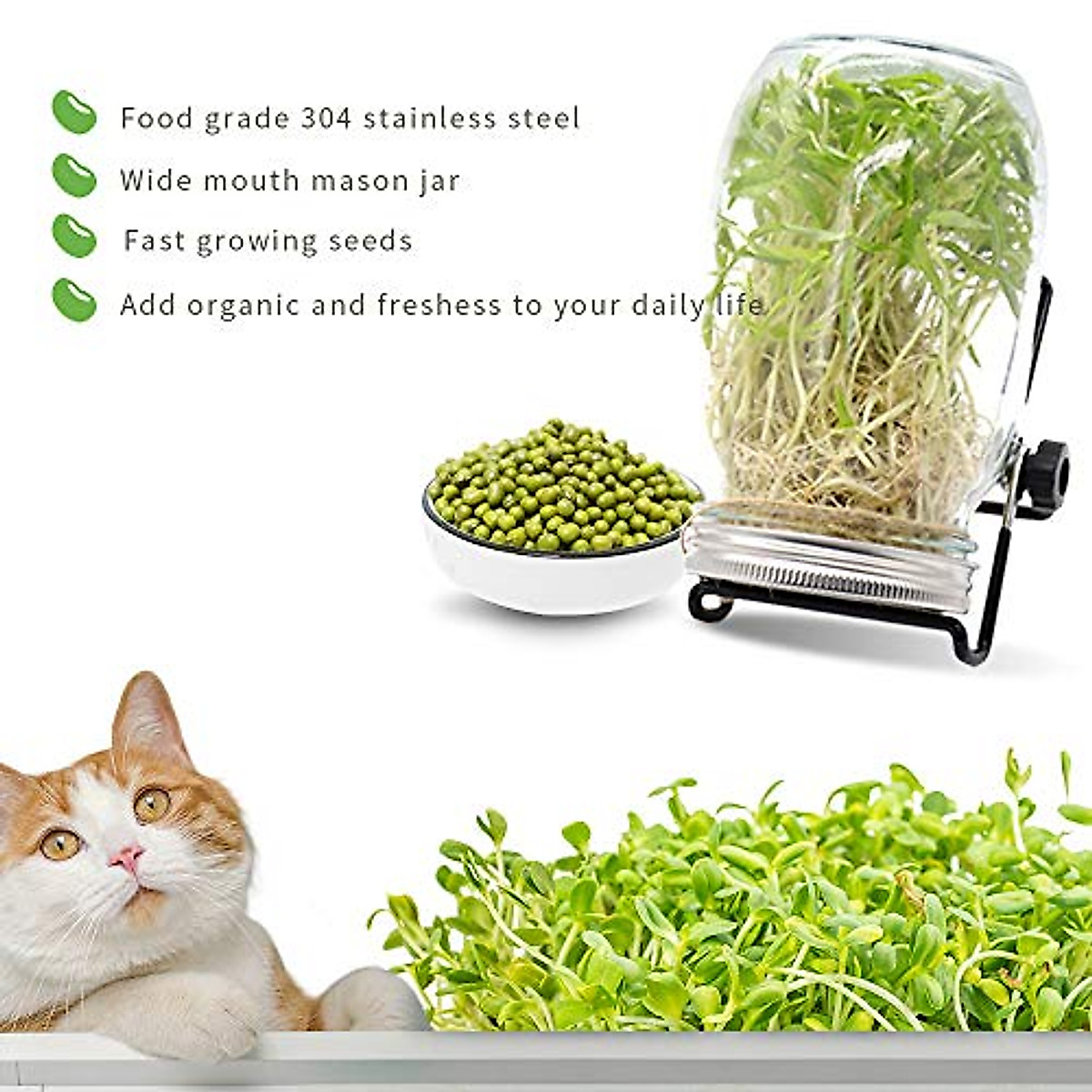 LIVEBAY Sprouting Jar Kit Stainless Steel Kitchen Sprouting Lids and Stands Seed Sprouter Set Organic Healthy Fresh 1L Wide Mouth Mason Jar for Broccoli, Alfalfa, Mung Beans