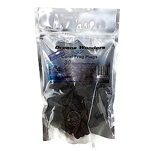 Oceans Wonders Ceramic Hawaiian Black Coral Frag Plugs 30 Pack