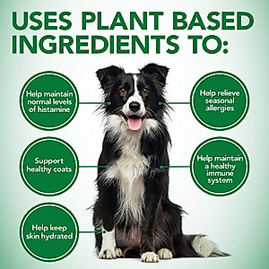 Veterinarian's Best Healthy Coat Shed and Itch Relief Chewable Tablets (2 Pack - 100 Tablets)