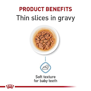 Royal Canin Size Health Nutrition Small Puppy Thin Slices in Gravy Wet Dog Food, 5.1 oz 24-Pack