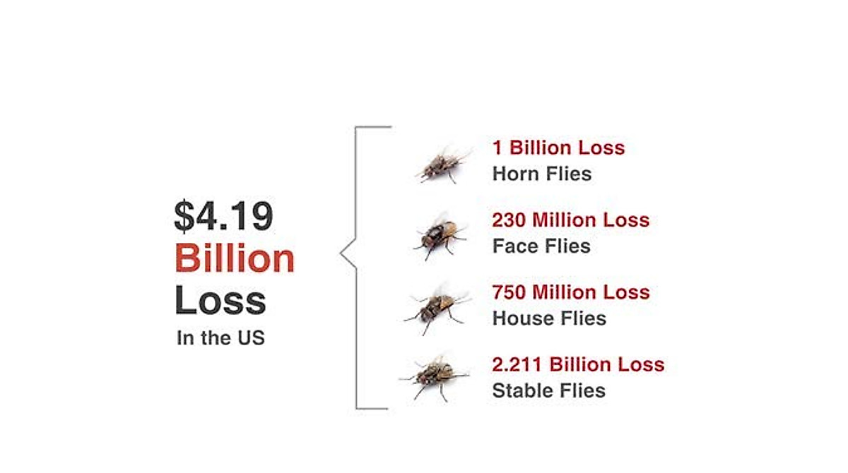 JustiFLY Feedthrough Cattle Fly Control - Non-Toxic Solution